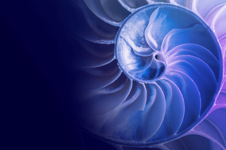 Phi Partners - Financial Technology Consultants